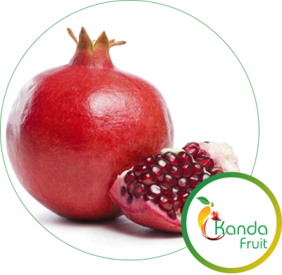 Exports – Kanda Fruits – Heirloom and Wild – Grown Nuts and Dried Fruits